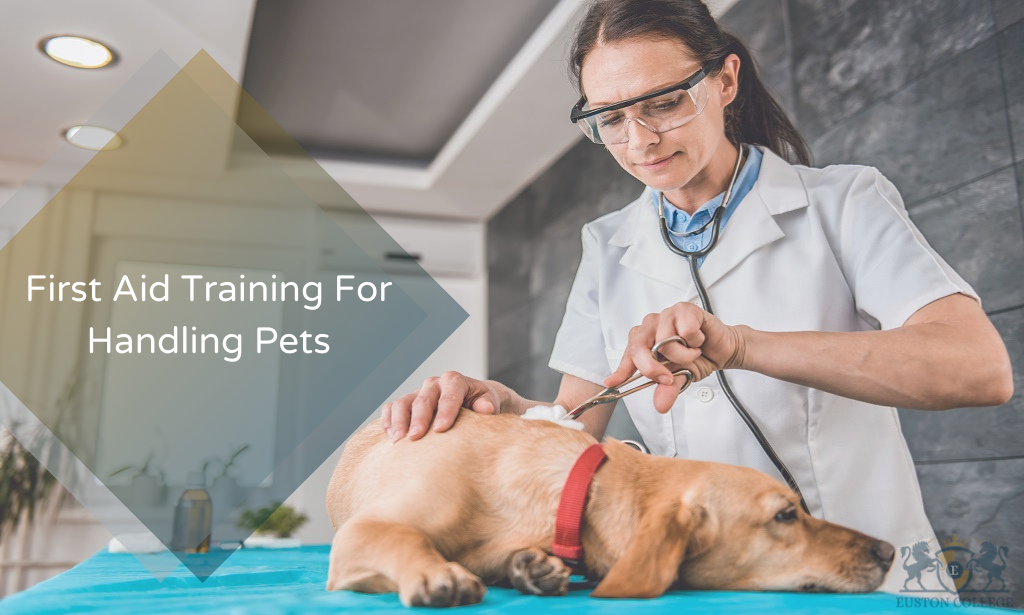 First Aid Training For Handling Pets - Euston College